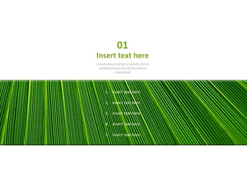 Green Striped Texture- Quadrangled Border - Google Slides Images Free ...