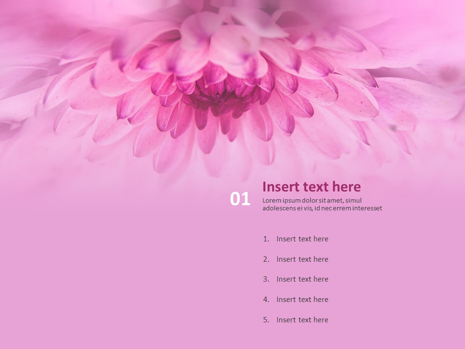 Chrysanthemum - Google Slides online Free