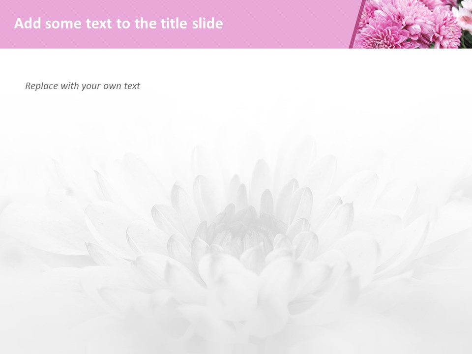 Chrysanthemum - Google Slides online Free