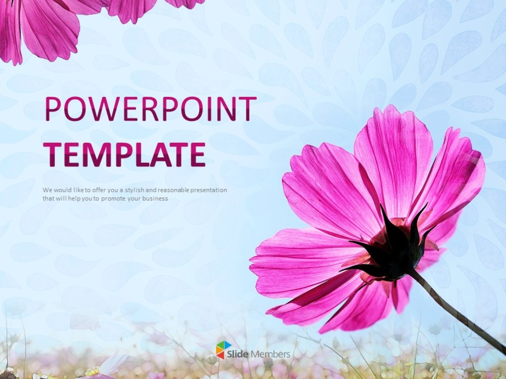 Free Images for Presentations - Cosmos Petals
