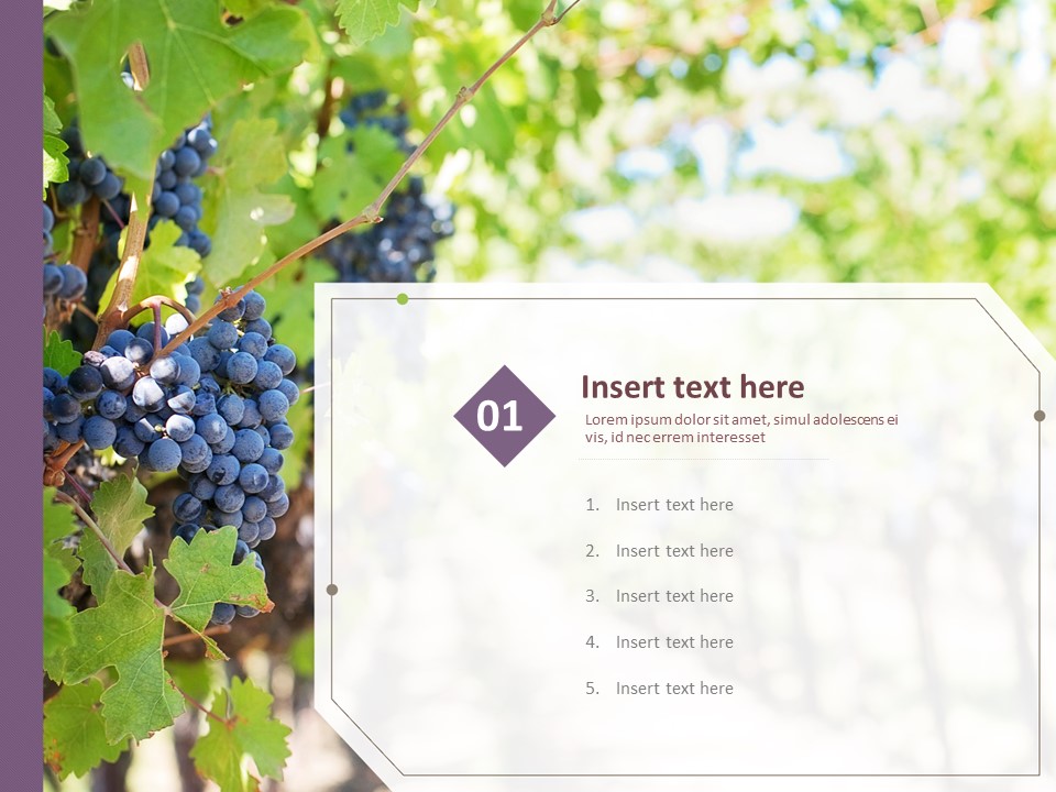 Free Images for Presentations - Well-ripen Grapes