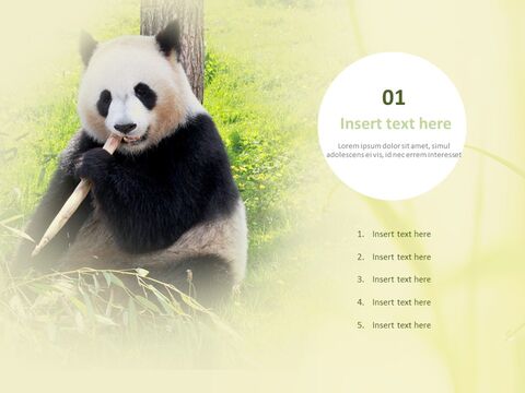 Gratis Descarga gratuita de imágenes de Google Slides - Un PandA encantador