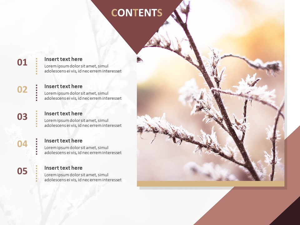 Free Images for Presentations - At the End of Winter|Google Slides