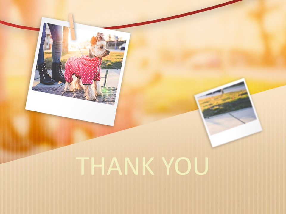 Puppy Walking - Google Slides Template Free