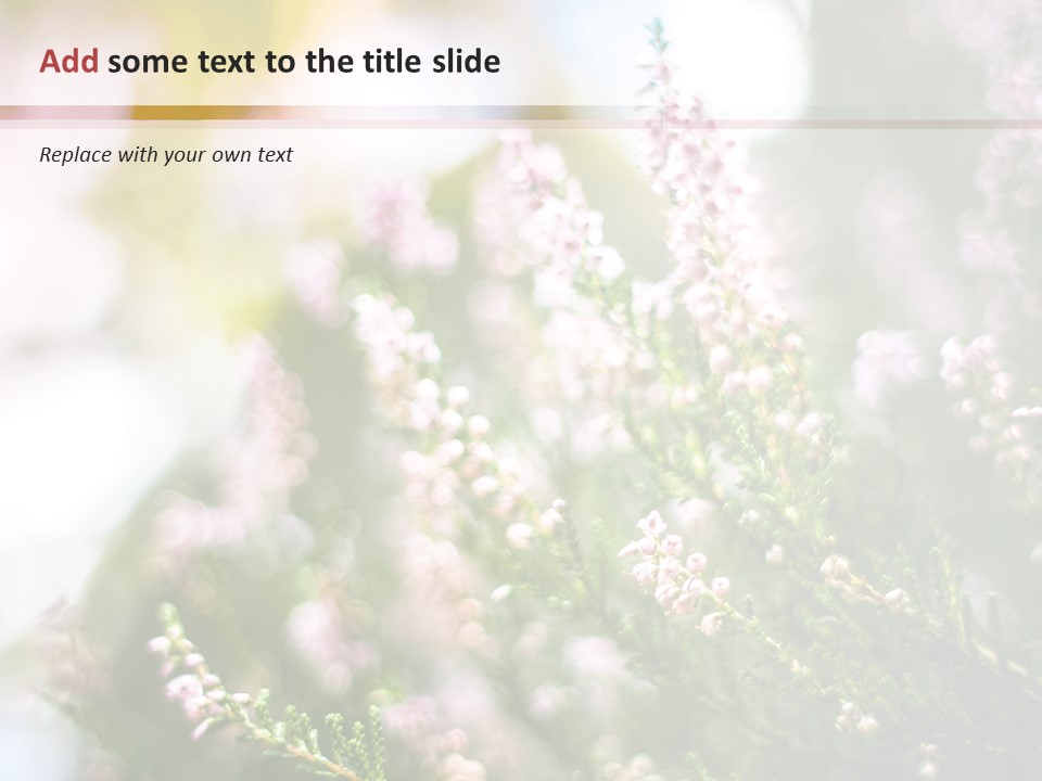 Free Google Slides Template Design A Fresh Flower Bud
