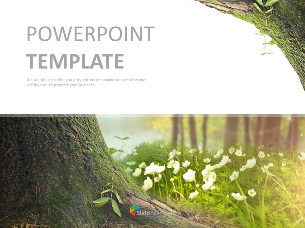 Free Presentation Templates - A Walk in the Woods