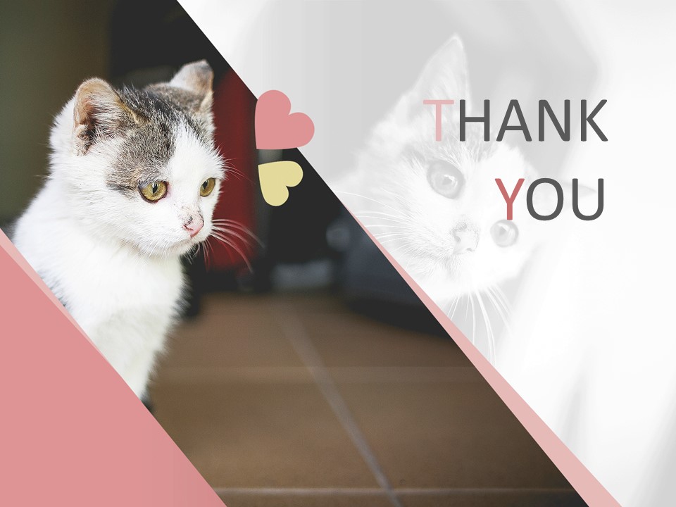 Pet Cat - Free Presentation Template