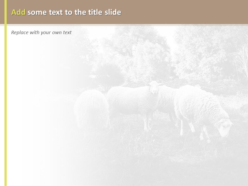 A Flock of Sheep - Google Slides online Free