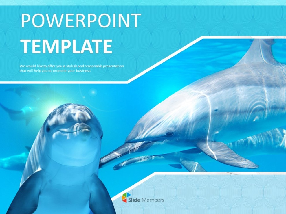 Dolphin - Google Slides Download Free
