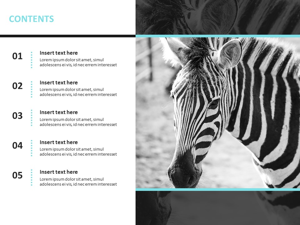 Free Images for Google Slides - ZebrA