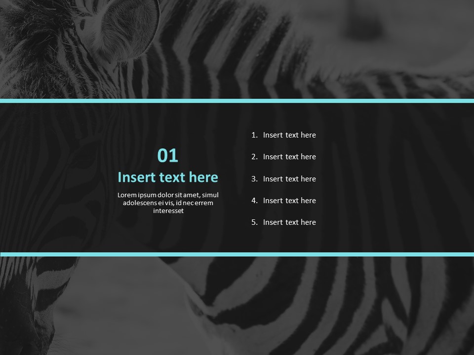 Free Images for Google Slides - ZebrA