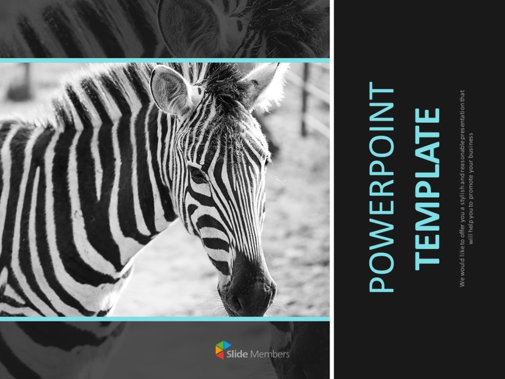 Free Images for Google Slides - ZebrA