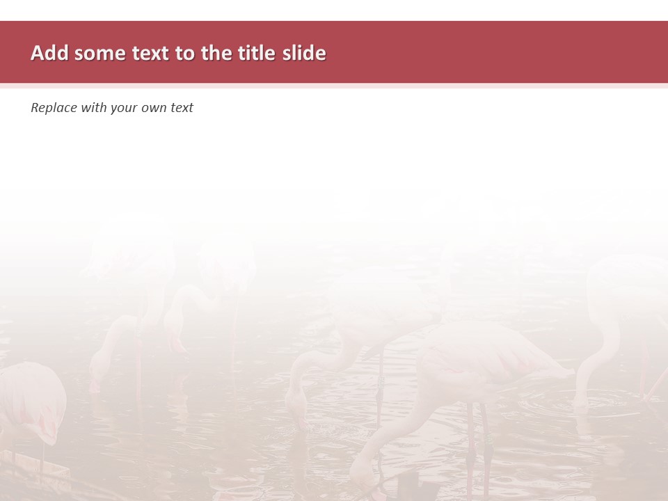 Free Images for Presentations - A Flamingo in Nature|Google Slides