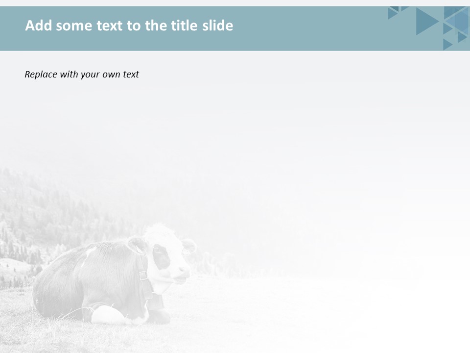 Free Google Slides themes - Bulls in the Field