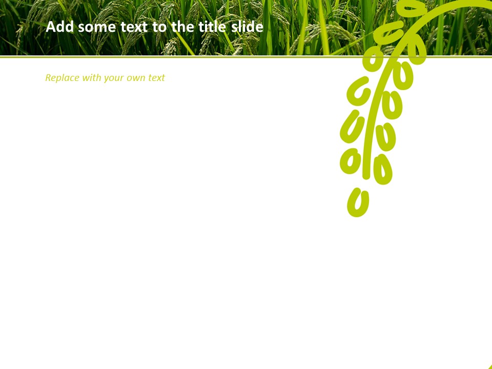 An Ear of Rice - Free Presentation Template