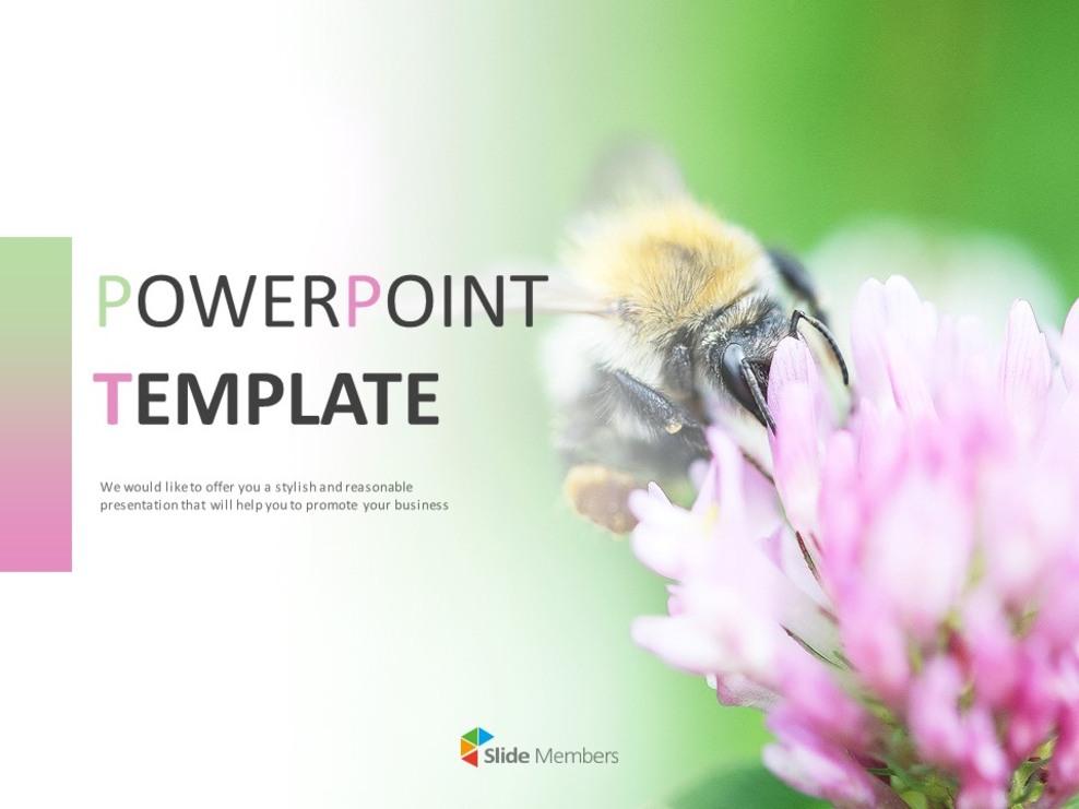 Flowers and Bees - Google Slides Images Free Download