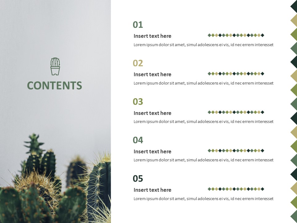 Free Presentation Template - Cactus