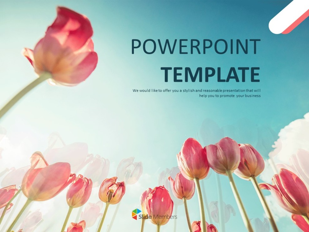 Google Slides online Free - Sky and Tulips