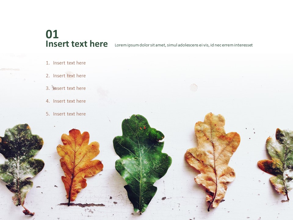 Leaves Torn - Google Slides Templates Free Download