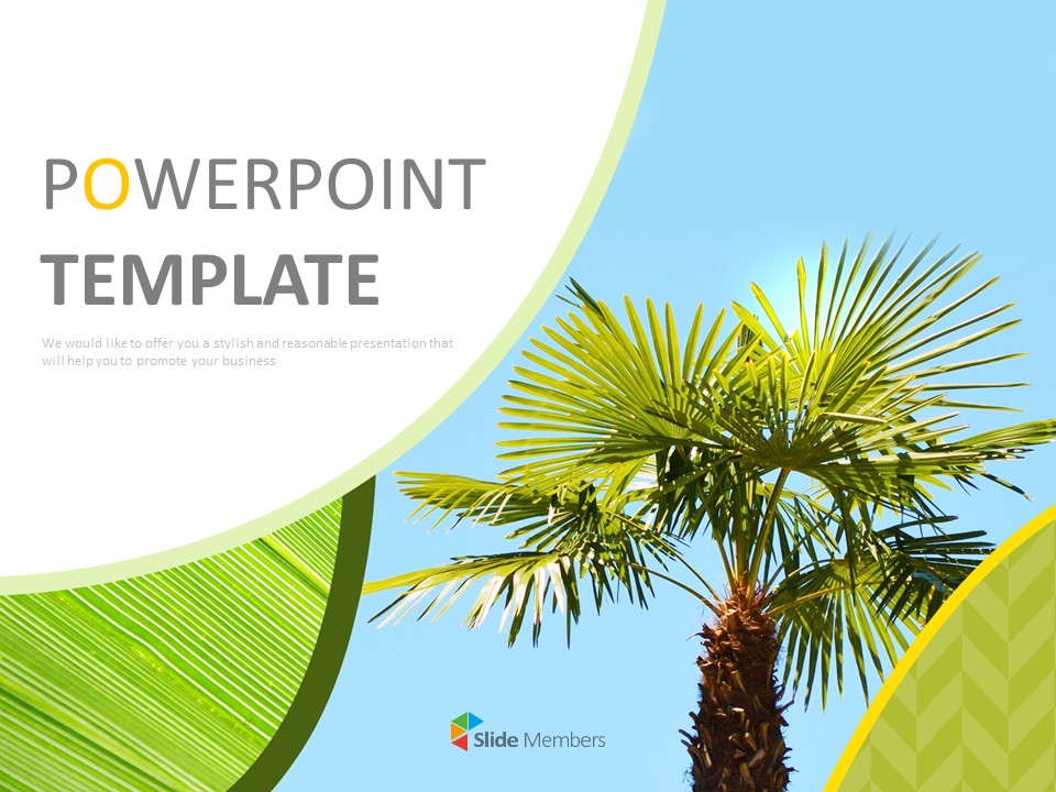 Palm Trees in Summer - Free Images for Presentations
