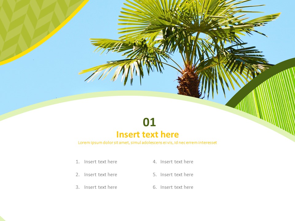 Palm Trees in Summer - Free Images for Presentations