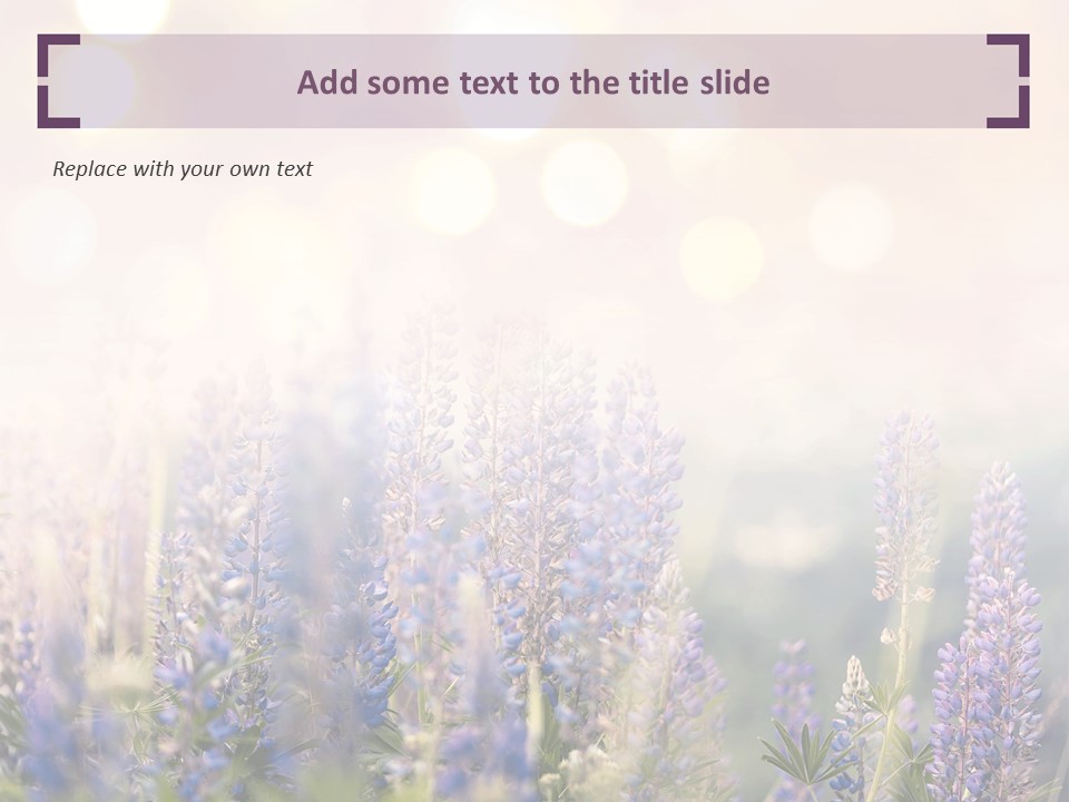 Purple Lavender - Google Slides Download Free