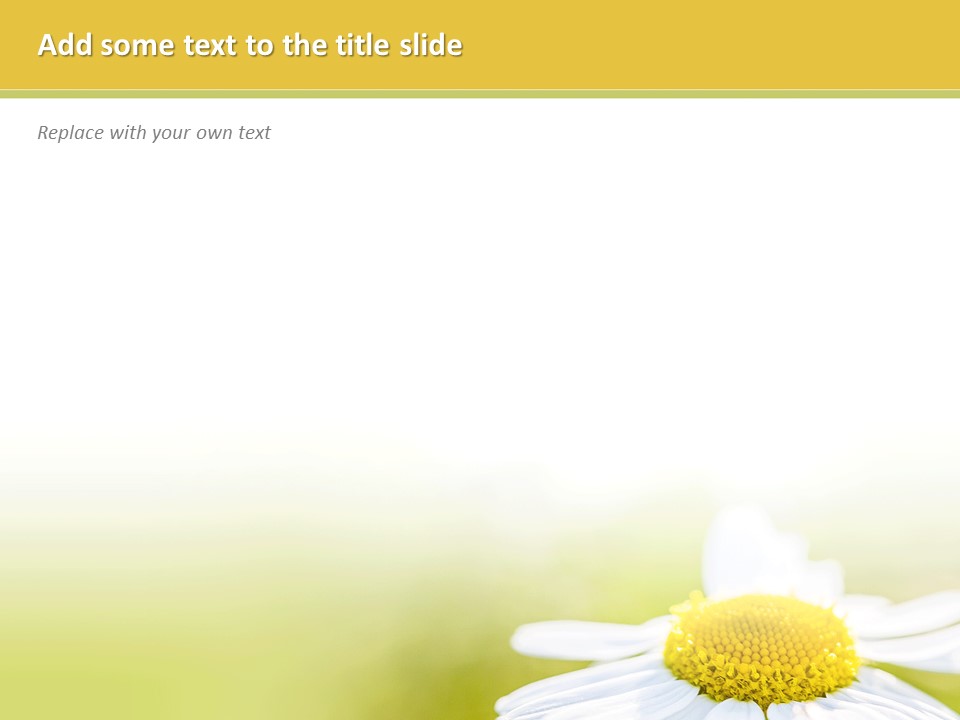 Wild Flowers - Google Slides online Free