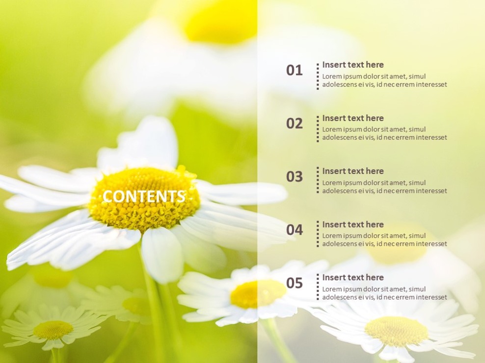 Wild Flowers - Google Slides online Free