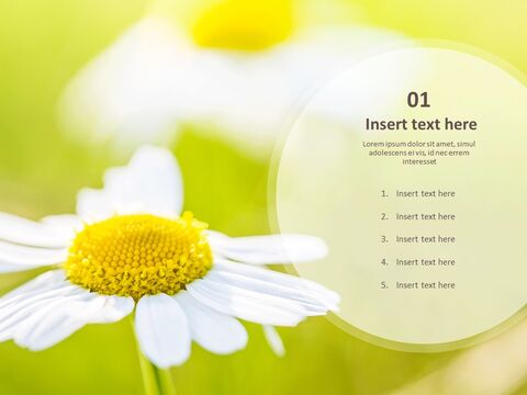 Wild Flowers - Google Slides online Free