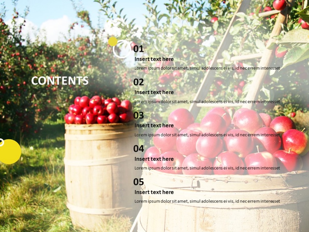 Delicious Apples - Free Images for Google Slides