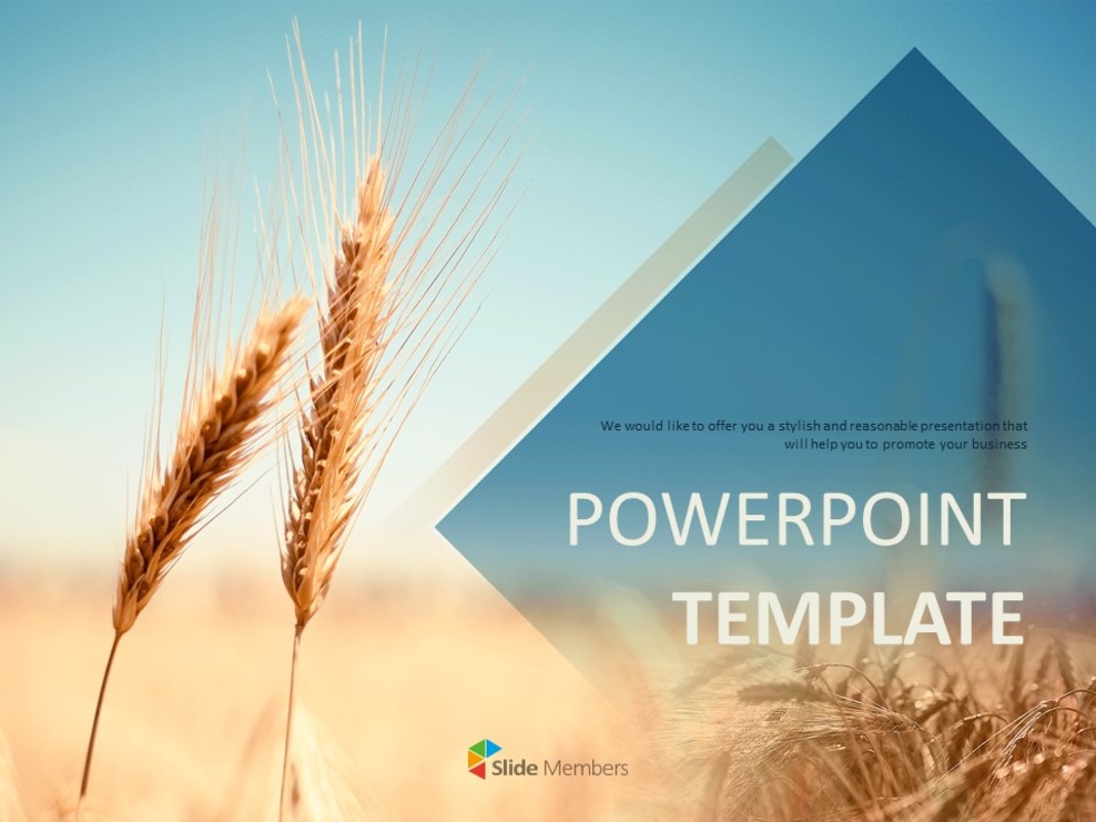 Barley and Ear - Free Business Google Slides Templates