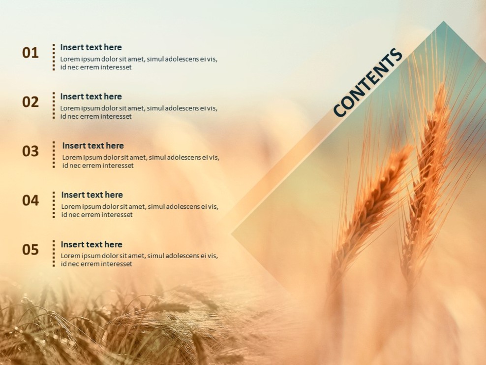 Barley and Ear - Free Business Google Slides Templates