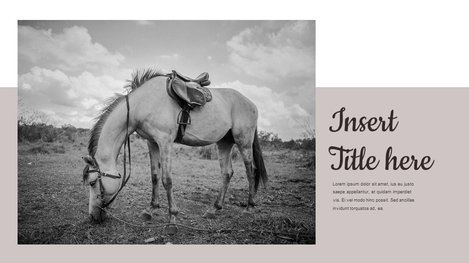 Riding Google Slides Templates