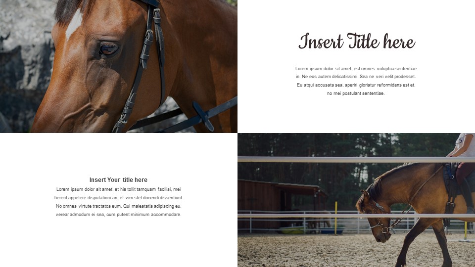 Riding Google Slides Templates