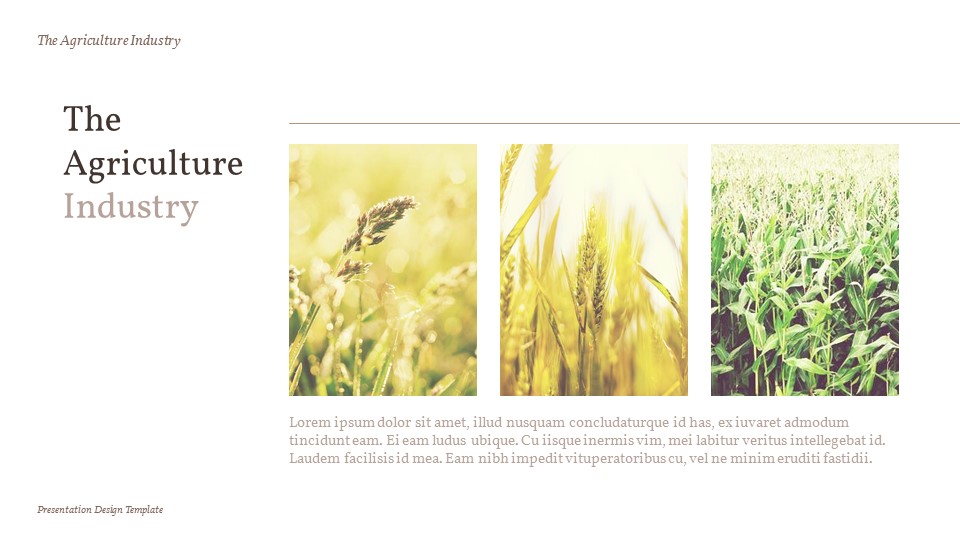 The Agriculture Industry Google Presentation Slides