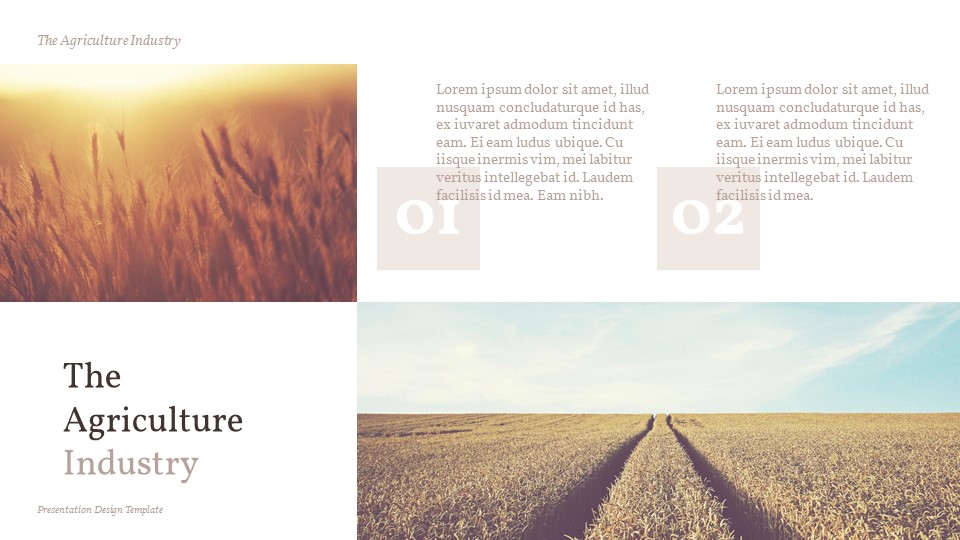 The Agriculture Industry Google Presentation Slides