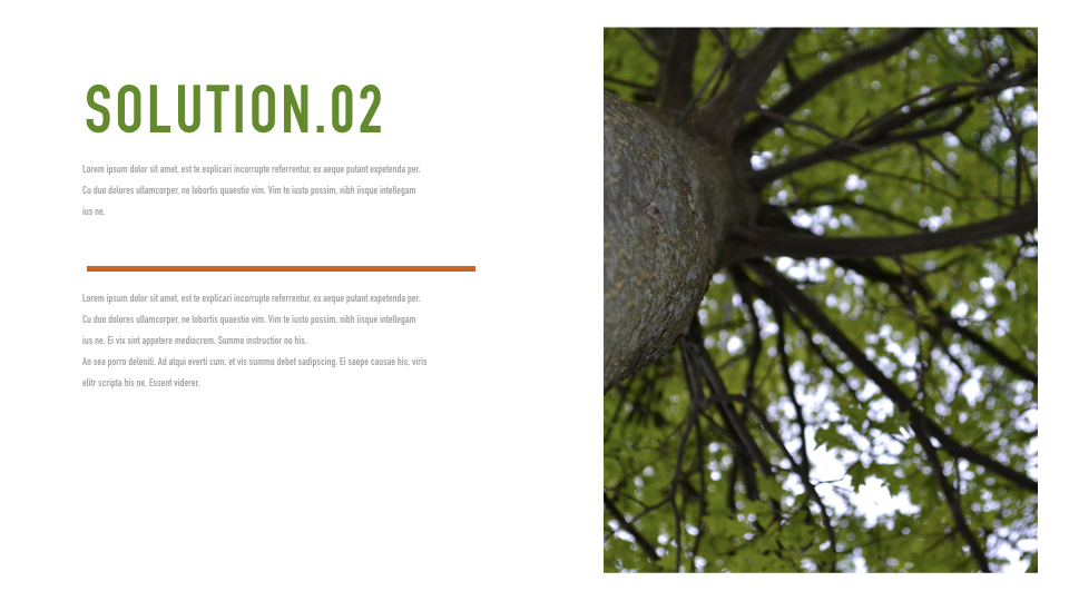 Forestry Apple Keynote Template