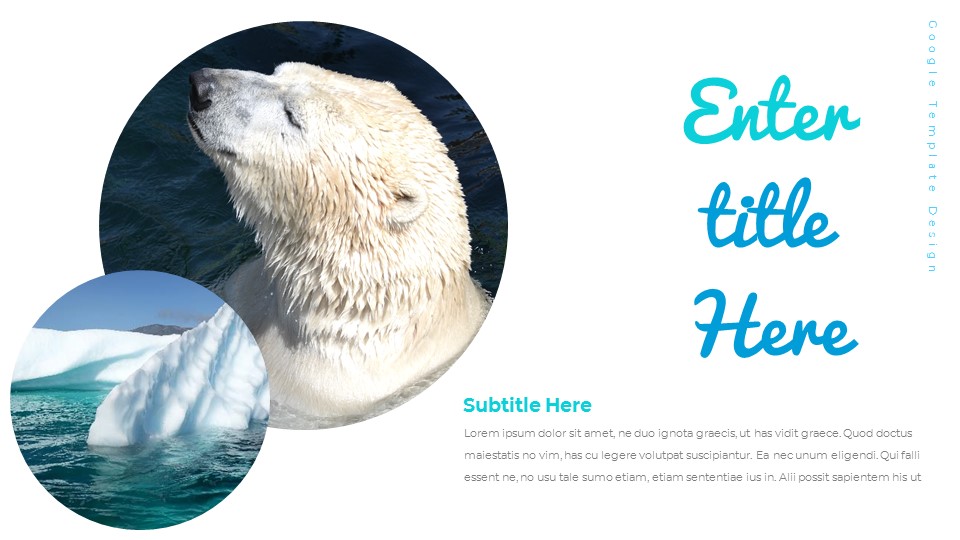 Where do polarbears live Google Presentation Templates