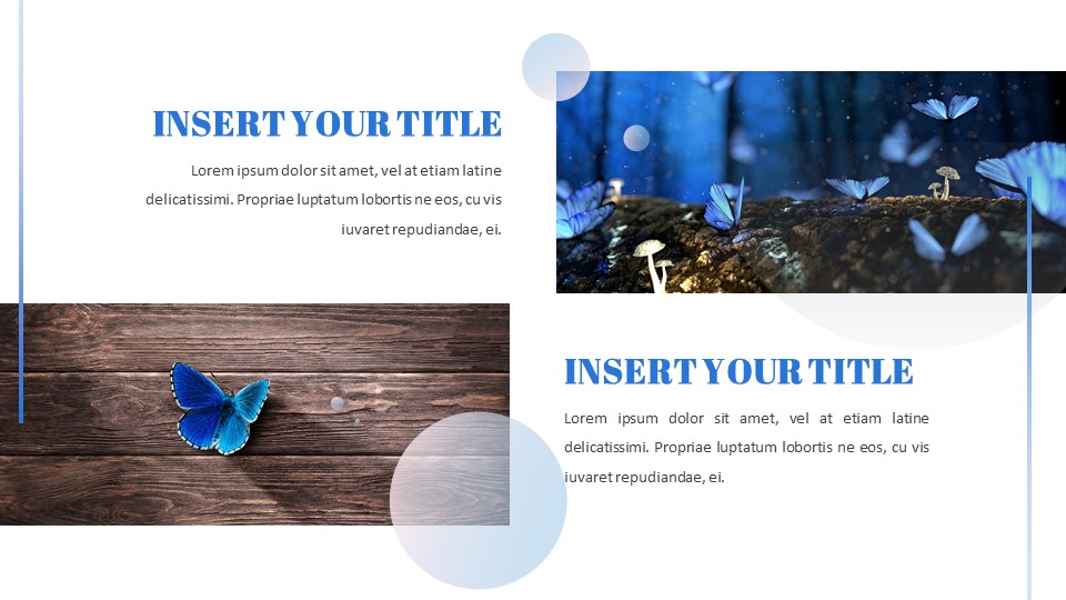 Butterfly Best Google Slides