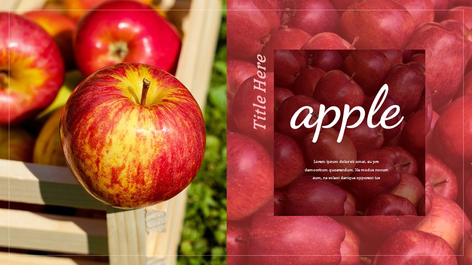 Apple Orchard Google Slides Presentation Templates