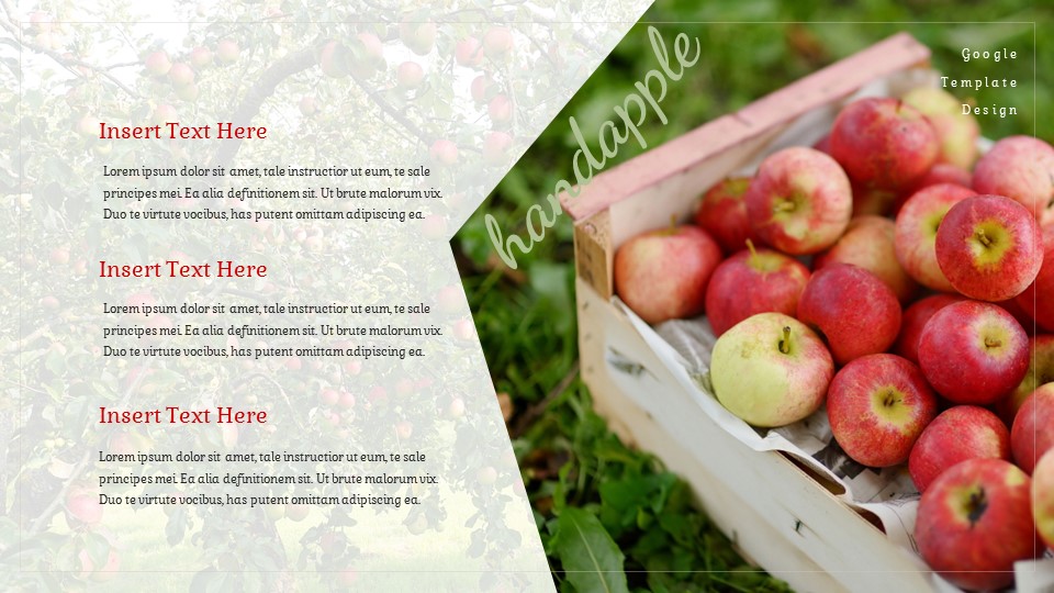 Apple Orchard Google Slides Presentation Templates