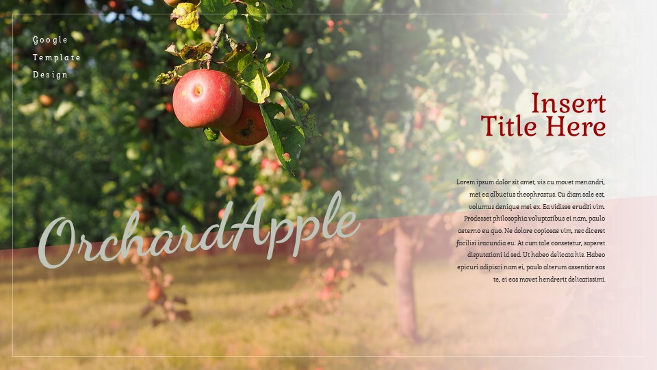 Apple Orchard Google Slides Presentation Templates