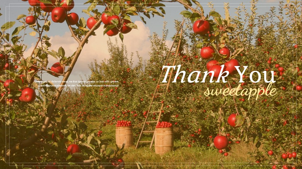 Apple Orchard Google Slides Presentation Templates