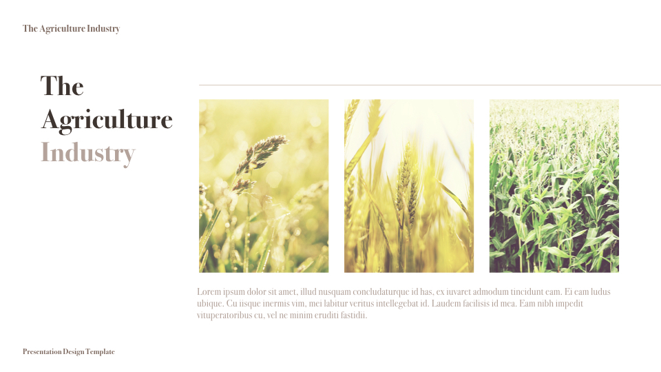 The Agriculture Industry PPTX Keynote