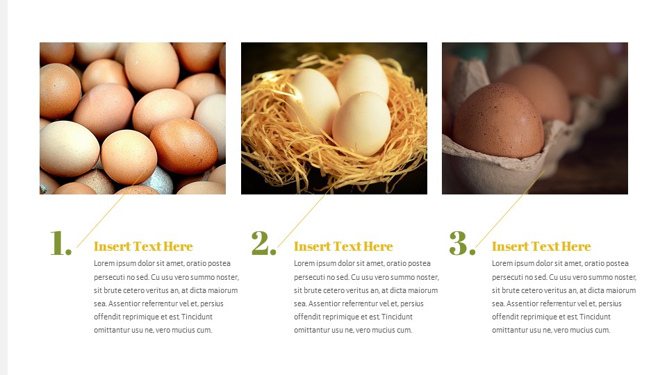 PoultryFarm Creative Google Slides|Industry
