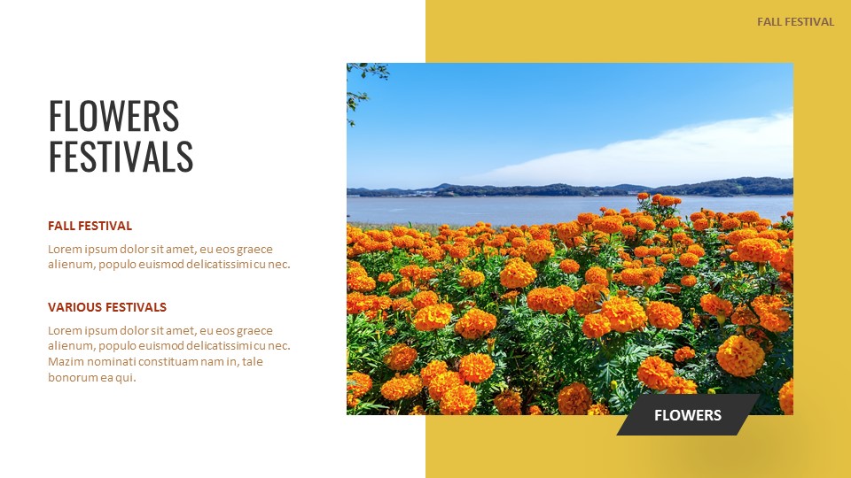 Special Fall Festivals Google Slides Themes & Templates