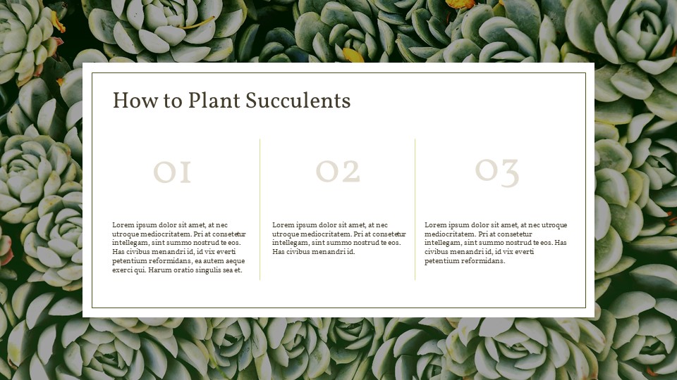 Succulent Plant PowerPoint to Google Slides