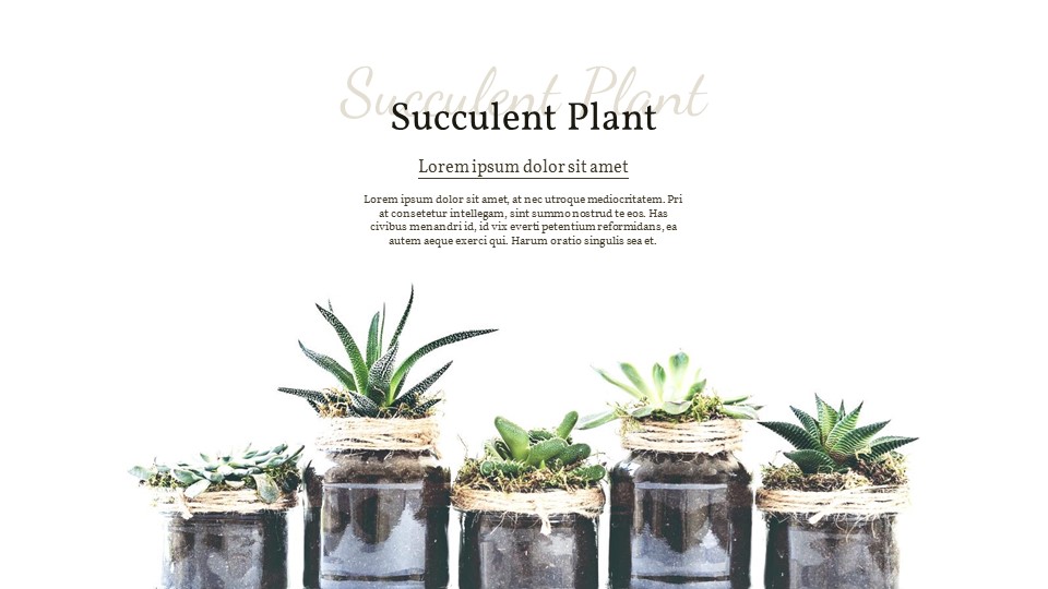 Succulent Plant PowerPoint to Google Slides