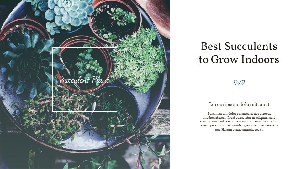 Succulent Plant PowerPoint to Google Slides