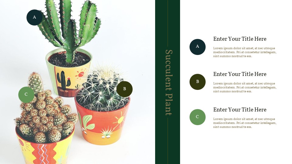 Planta suculenta PowerPoint a Presentaciones de Google